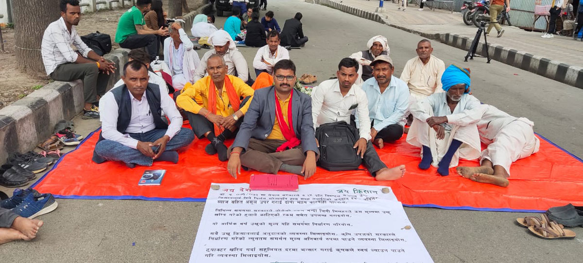 कपिलवस्तुका उखु किसानद्वारा काठमाडौंमा धर्ना - Upakar Online::सुचना ...